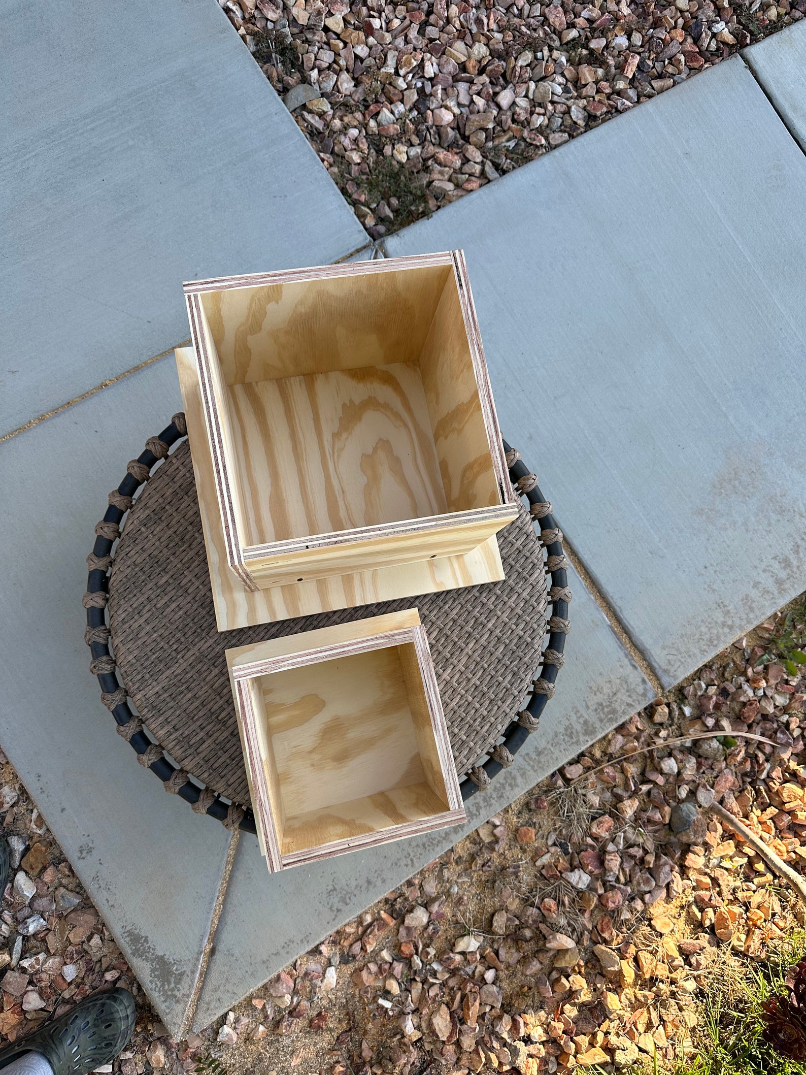 Dog Training Box Feeding: Small Dopamine & Motivation Box - Etsy