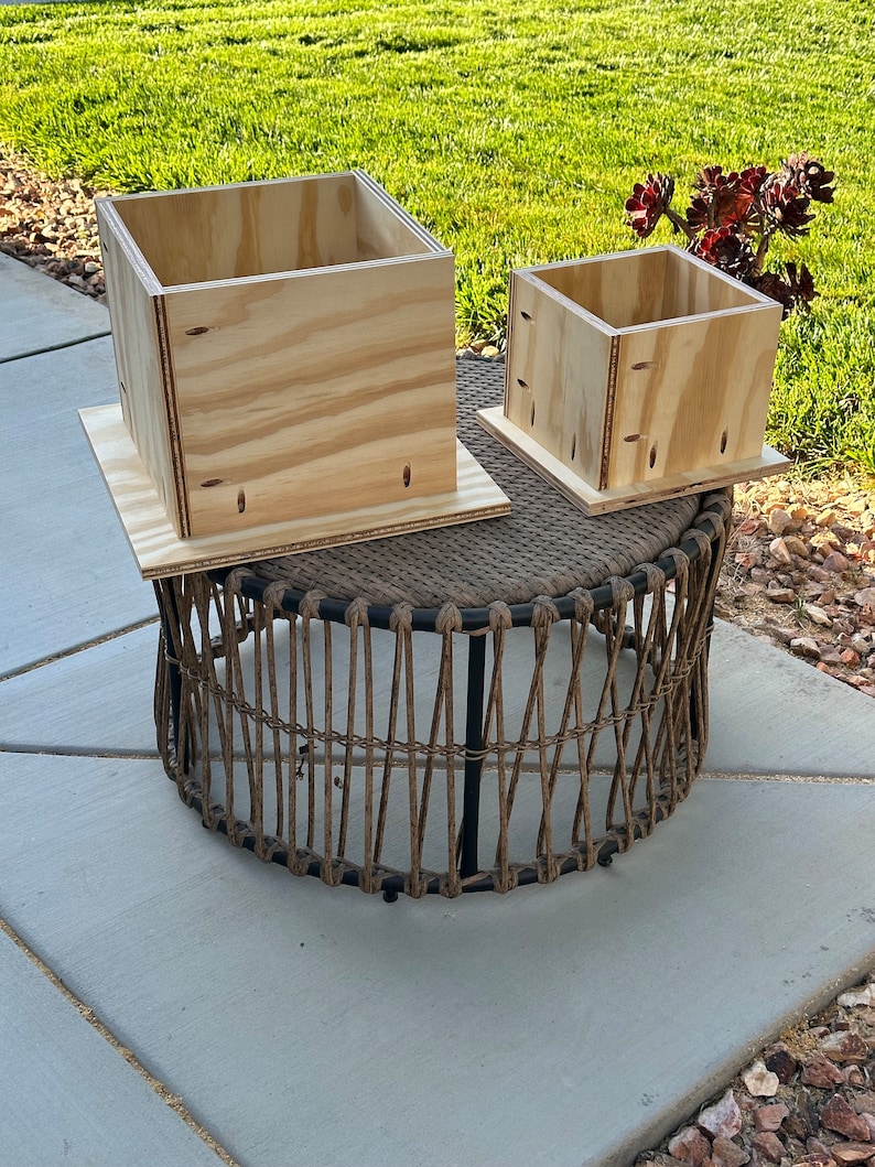 Dog Training Small Nepopo® Dopamine Box, Motivation Box, Box Feeding ...