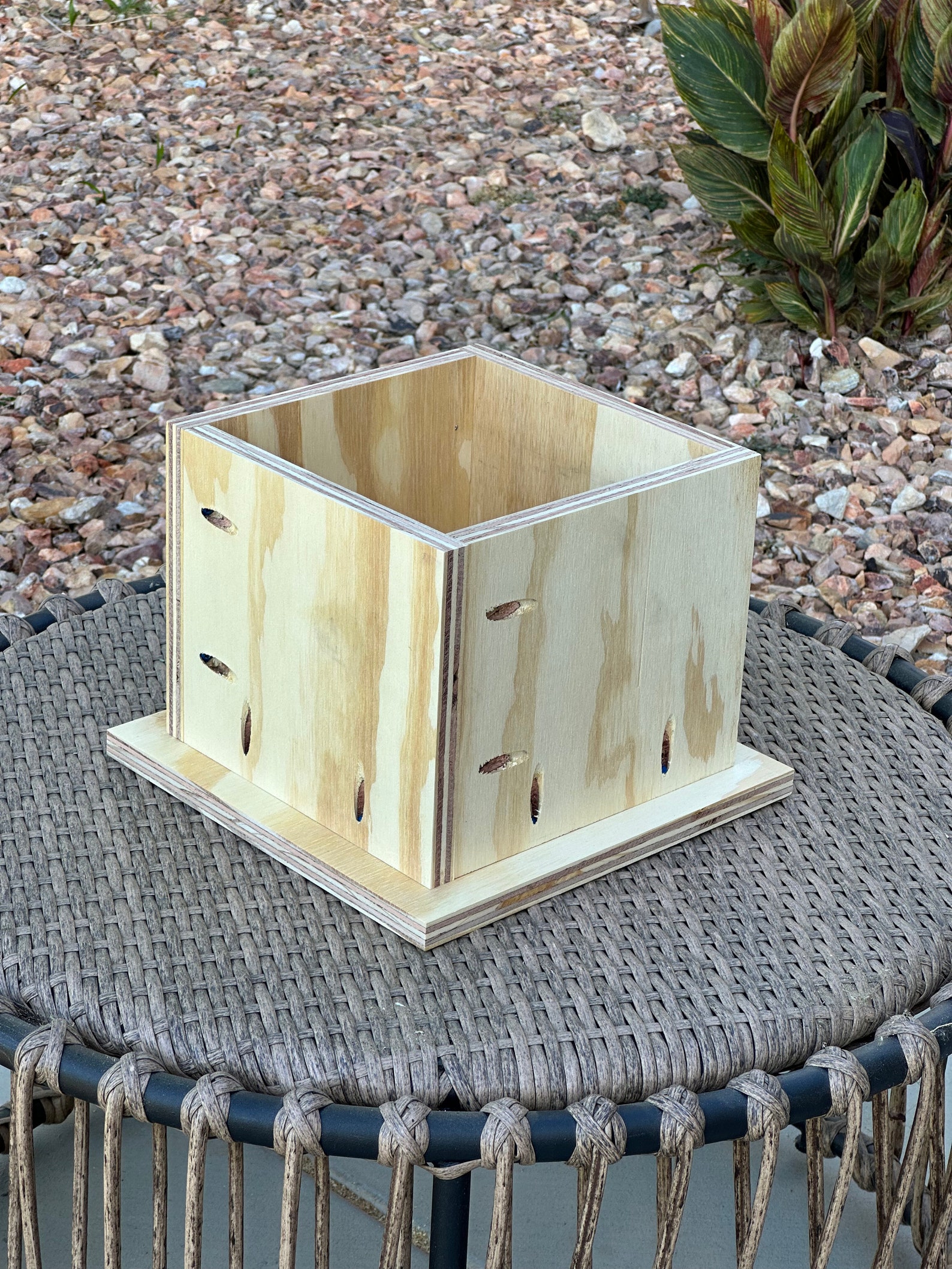 Dog Training Box Feeding: Small Dopamine & Motivation Box - Etsy