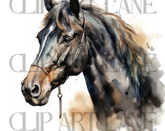 Watercolor Horse Clipart Set of 10 High Quality Jpgs - Etsy