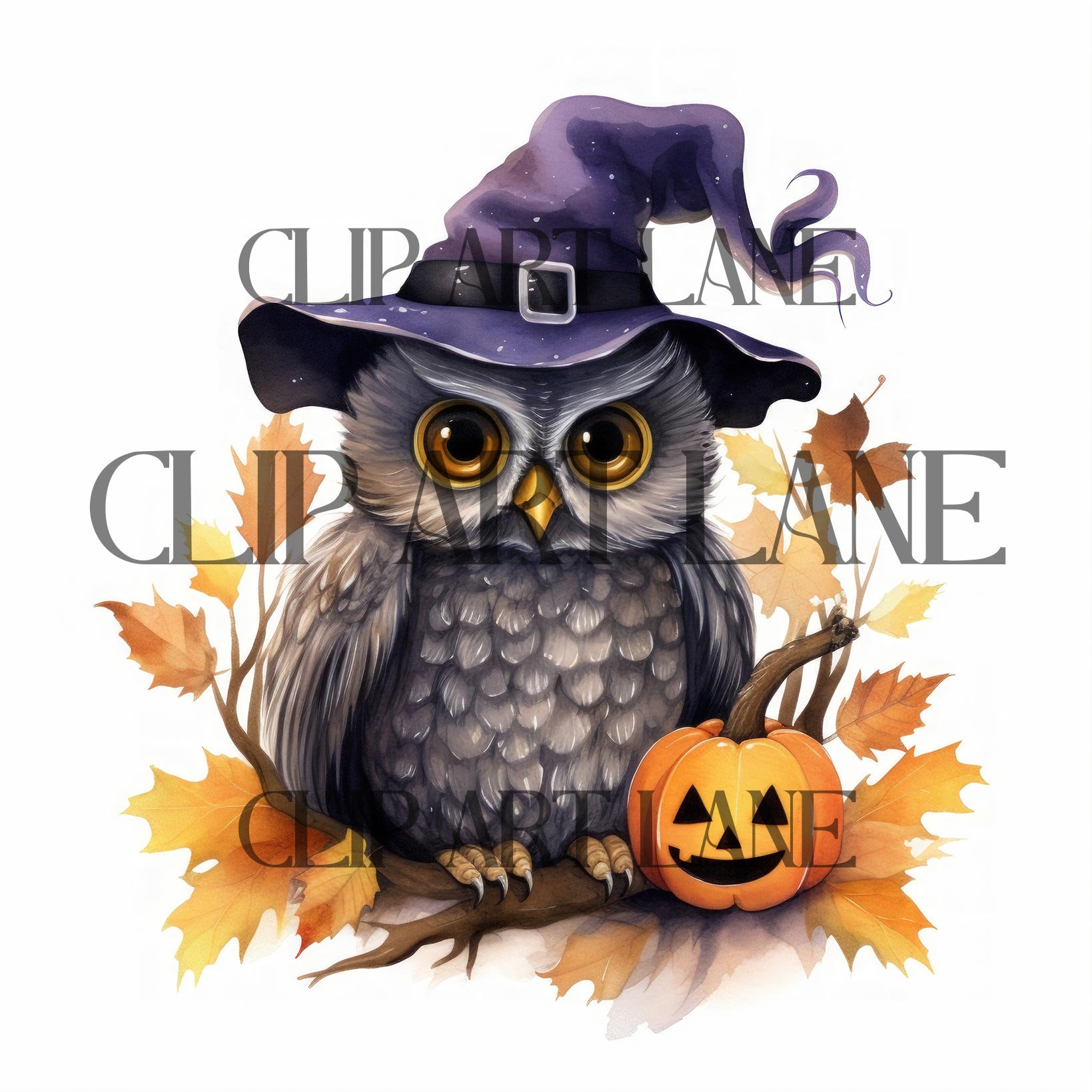Cute Owl Clipart Witch Hat Halloween 15 High Quality JPG Fall - Etsy