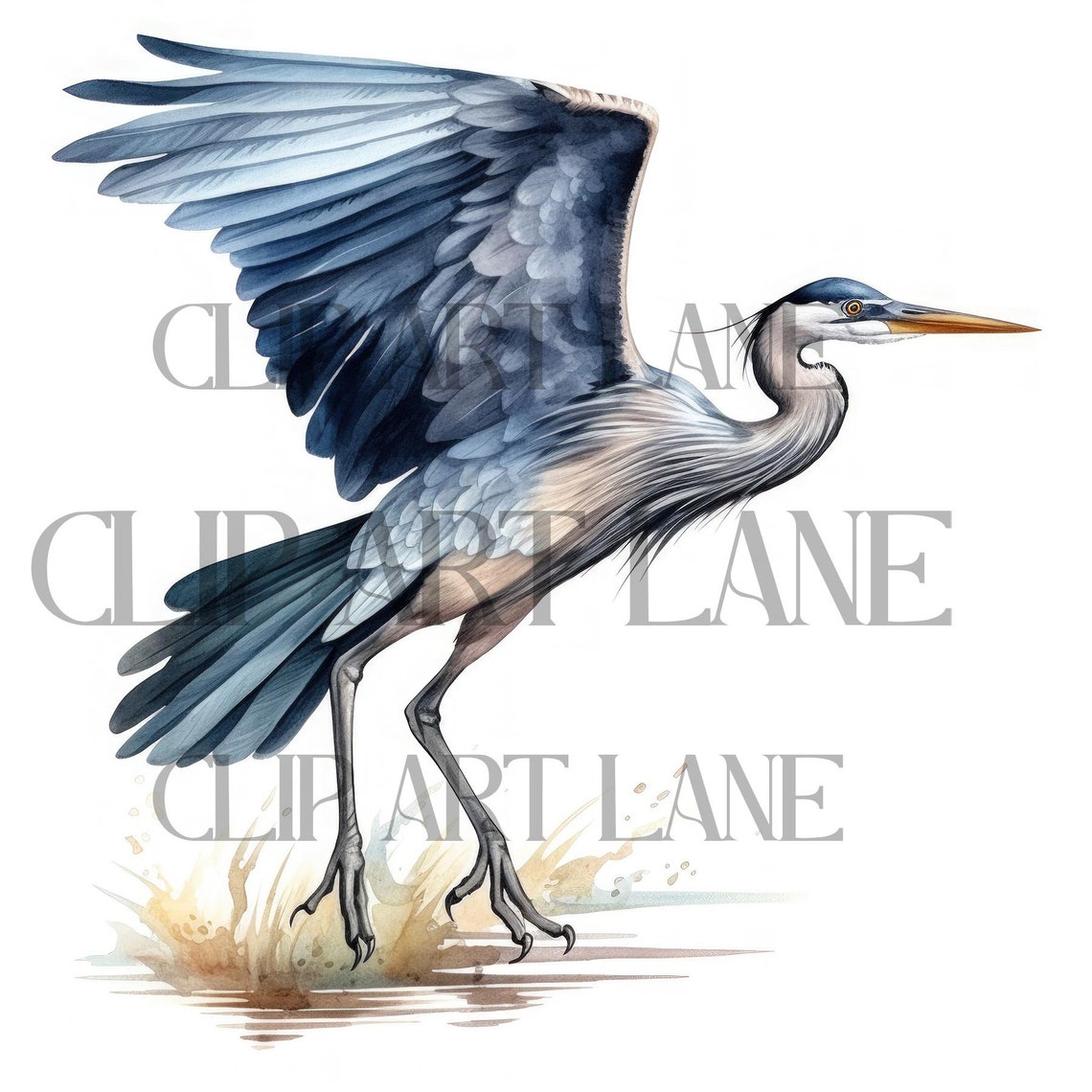 Heron Clipart Cute 12 High Quality Jpgs Nursery Art Birds Instant ...