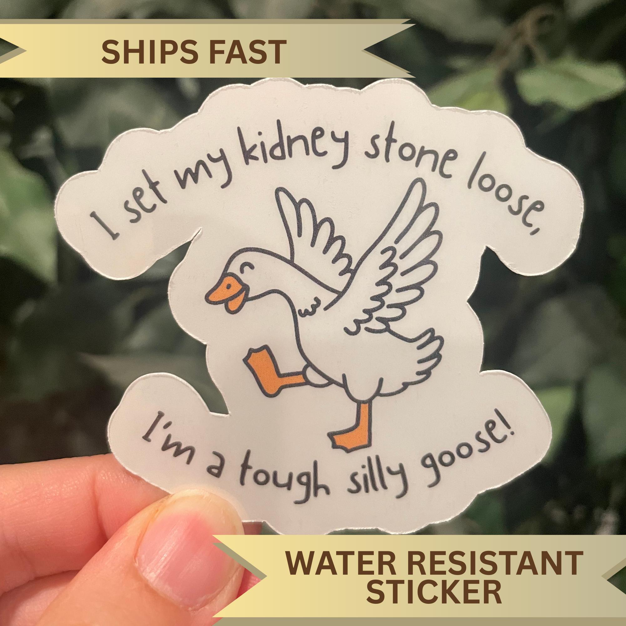 Kidney Stone Silly Goose Sticker, Handmade Ureteroscopy Surgery Gift ...