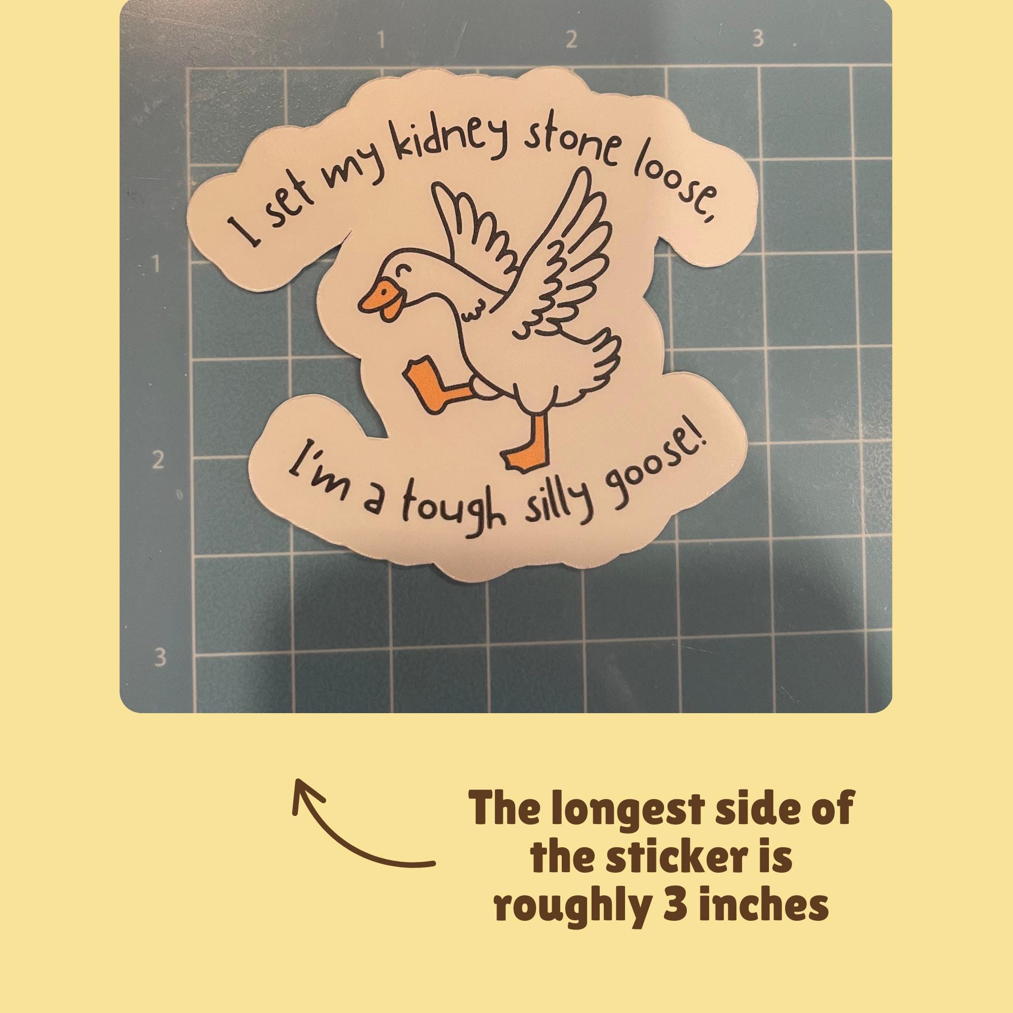 Kidney Stone Silly Goose Sticker, Handmade Ureteroscopy Surgery Gift ...