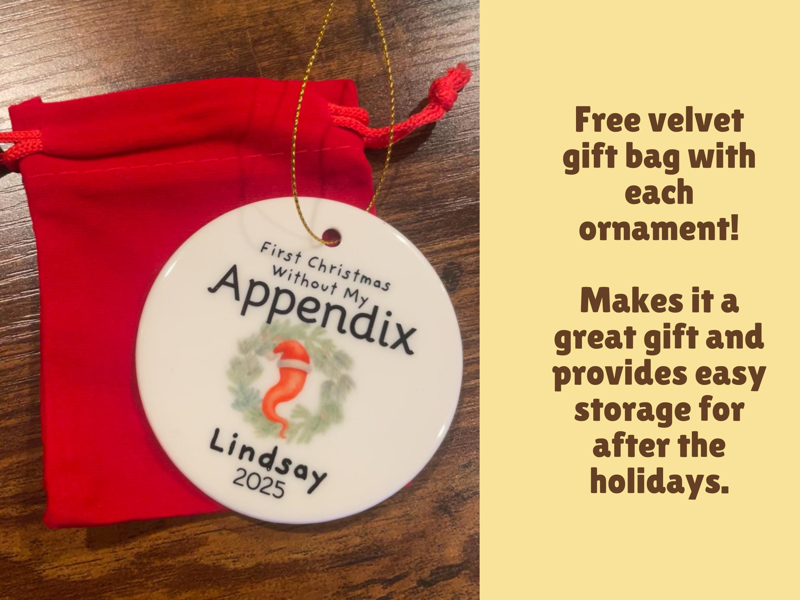Personalized Appendectomy Ornament, Handmade Appendix Removal Joke Gift ...