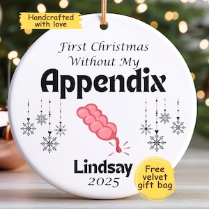 Personalized Appendectomy Ornament, Handmade Appendix Removal Joke Gift ...