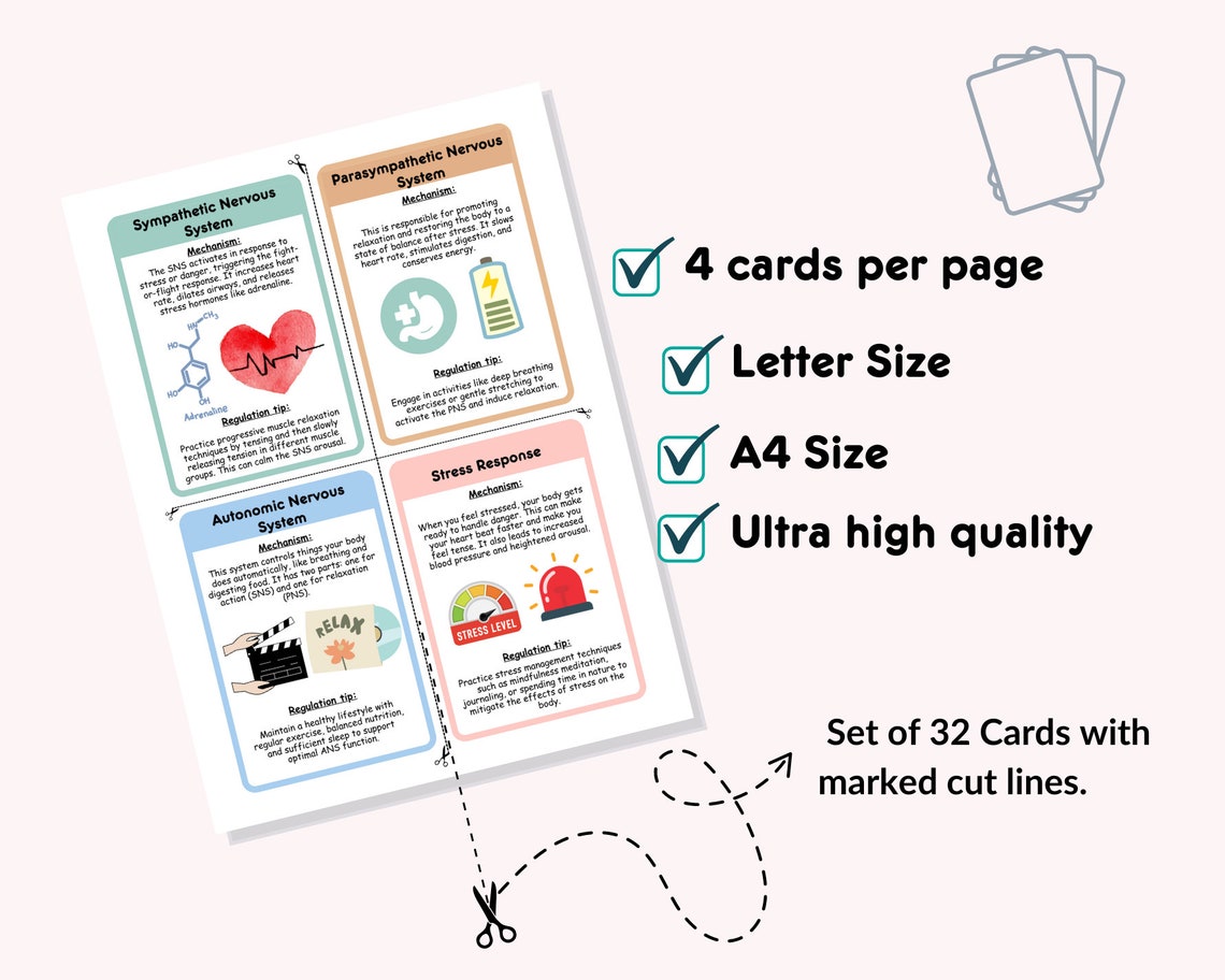Nervous System Regulation Cards, Coping Skills Cards, Autonomic Nervous ...