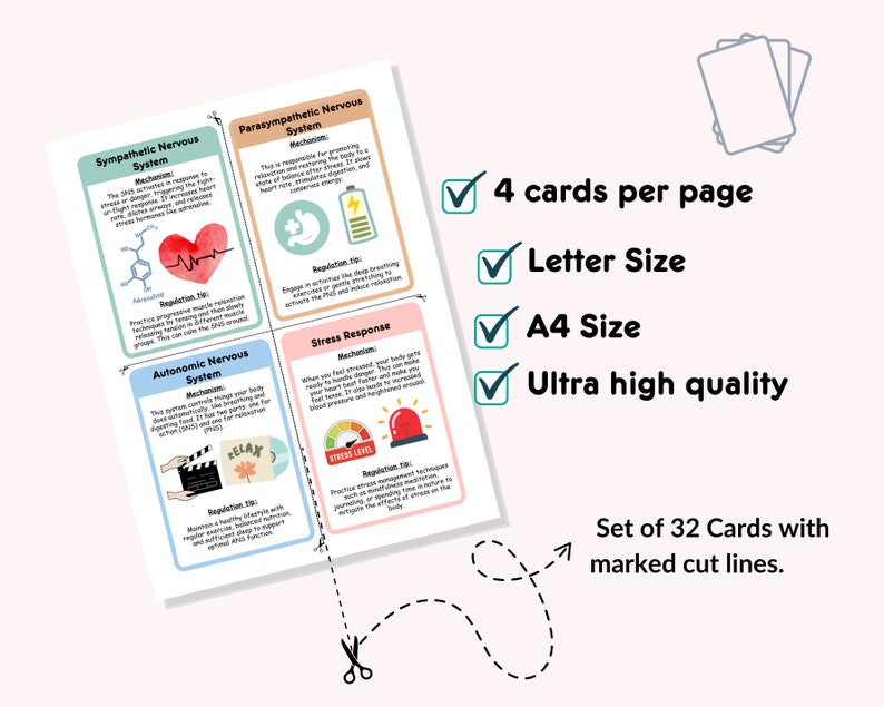 Nervous System Regulation Cards: Coping Skills & Stress Relief - Etsy