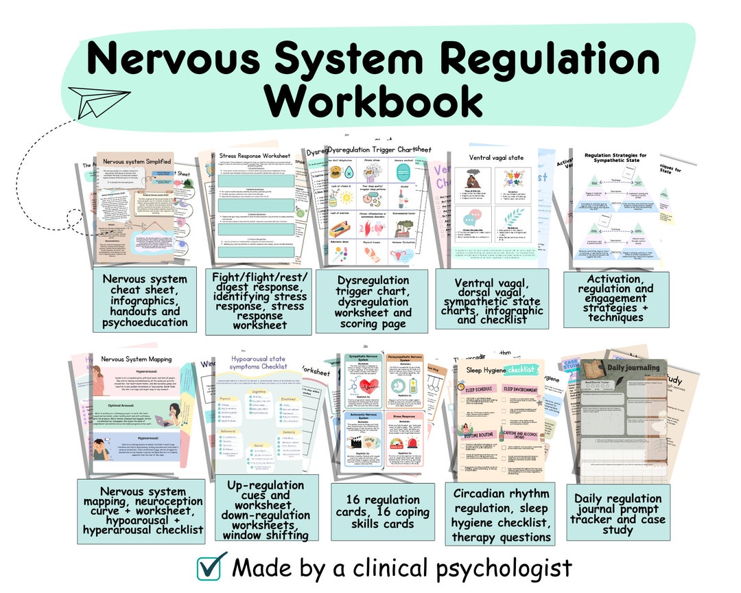 Nervous System Regulation Workbook, Nervous System Regulation ...