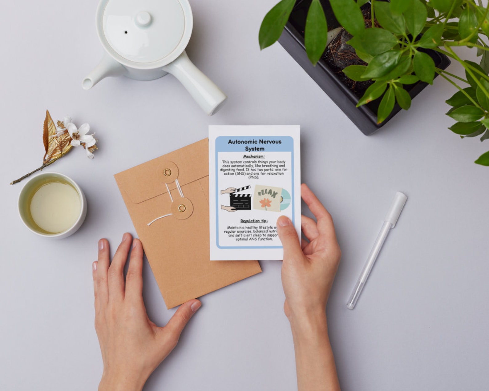 Nervous System Regulation Cards, Coping Skills Cards, Autonomic Nervous ...