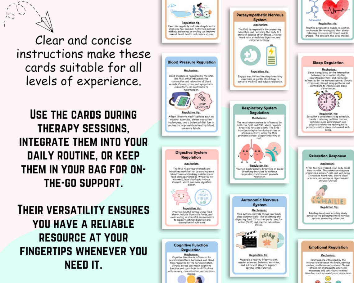 Nervous System Regulation Cards, Coping Skills Cards, Autonomic Nervous ...