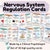 Nervous System Regulation Cards, Coping Skills Cards, Autonomic Nervous ...