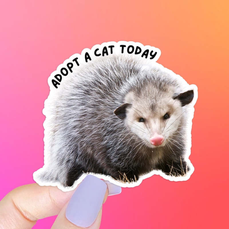 Opossum Stickers - Etsy