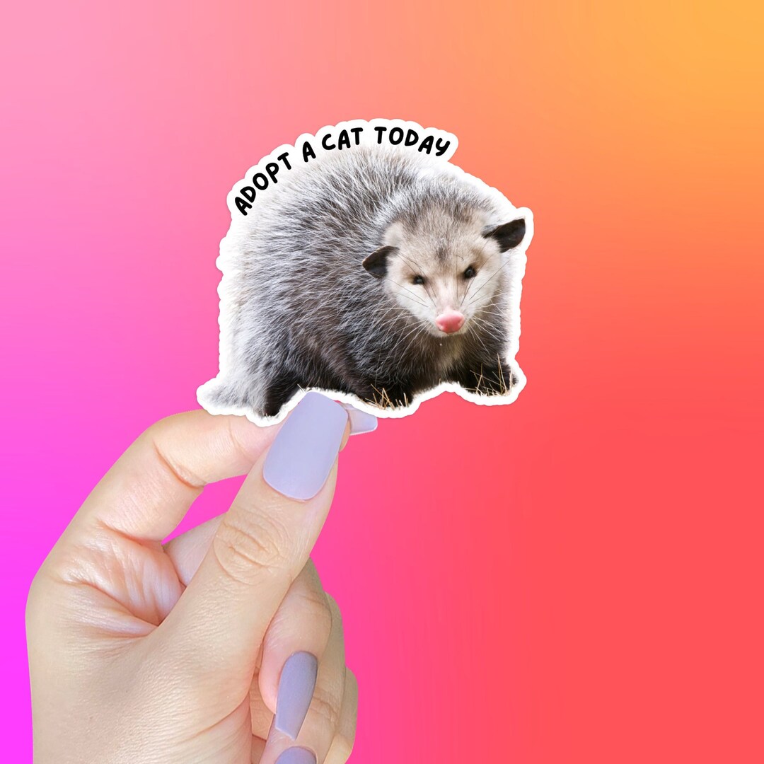 Adopt a Cat Today Opossum Sticker – Funny Sarcastic Die Cut, Laptop ...