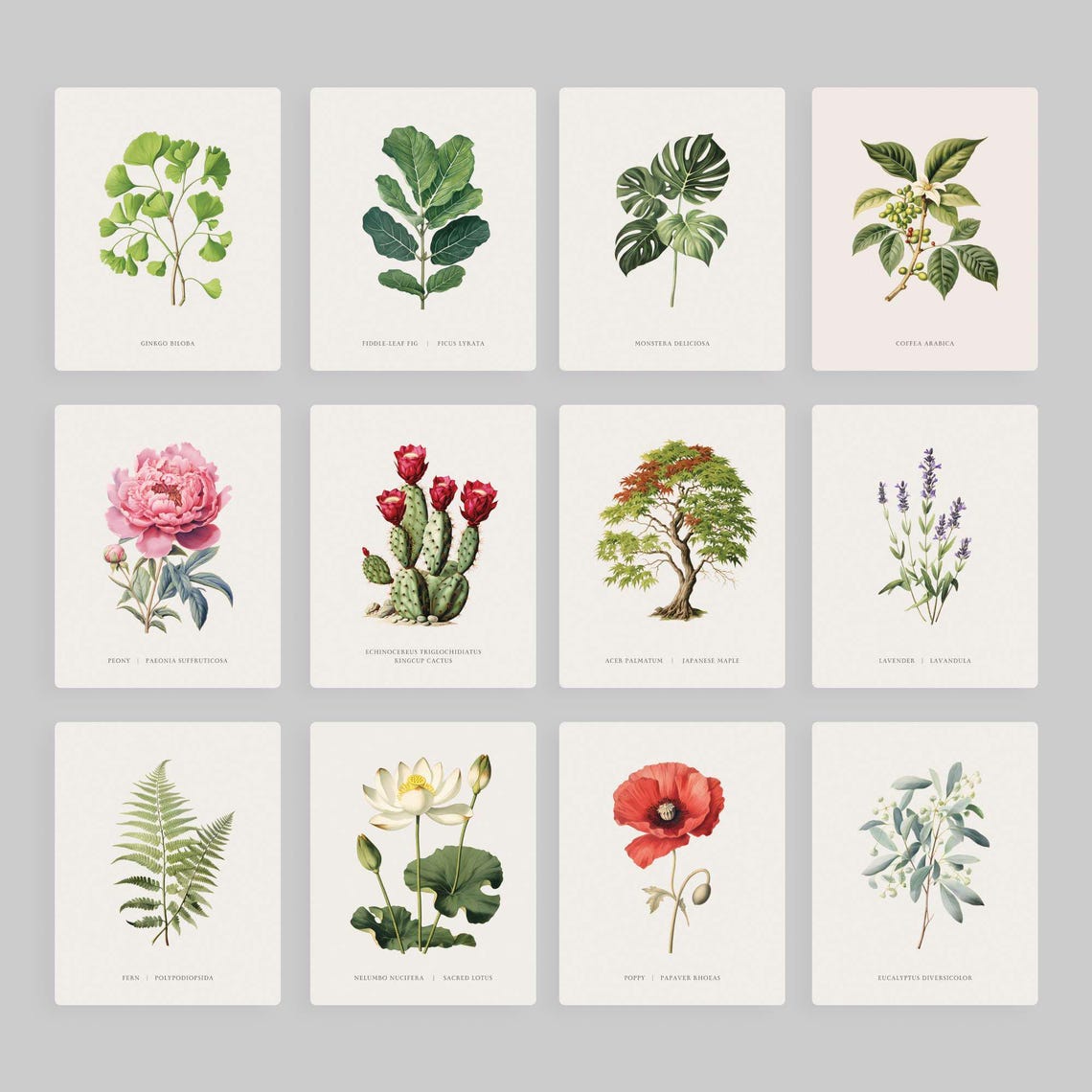 Set of 12 Botanical Posters | Vintage Wall Art | Digital Download ...