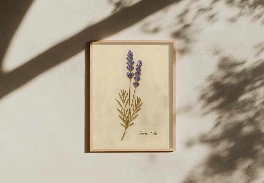 Pressed Lavender Herbarium Art I Real Flower Botanical Print I ...