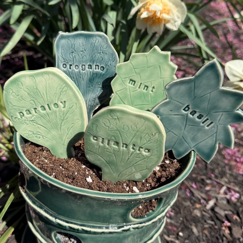 Ceramic Marker Plant - Etsy