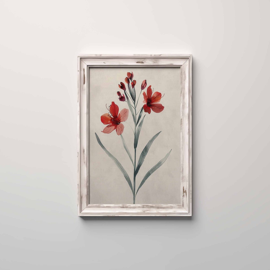 Vintage Botanical Illustration Detailed Floral Art Flower Illustration ...