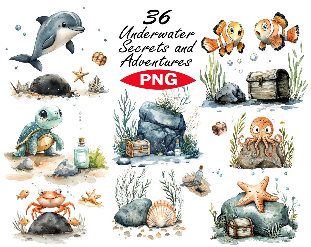 Watercolor Sea Life Clipart: Ocean Animals PNG (36 Files) - Etsy