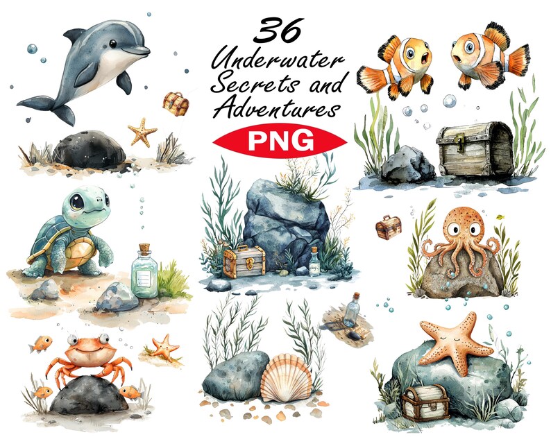 Watercolor Sea Life Clipart: Ocean Animals PNG (36 Files) - Etsy