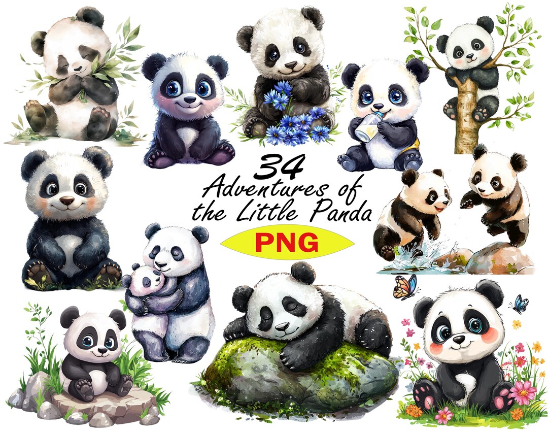 Watercolor Panda Clipart: 34 PNG Images (digital Download) - Etsy