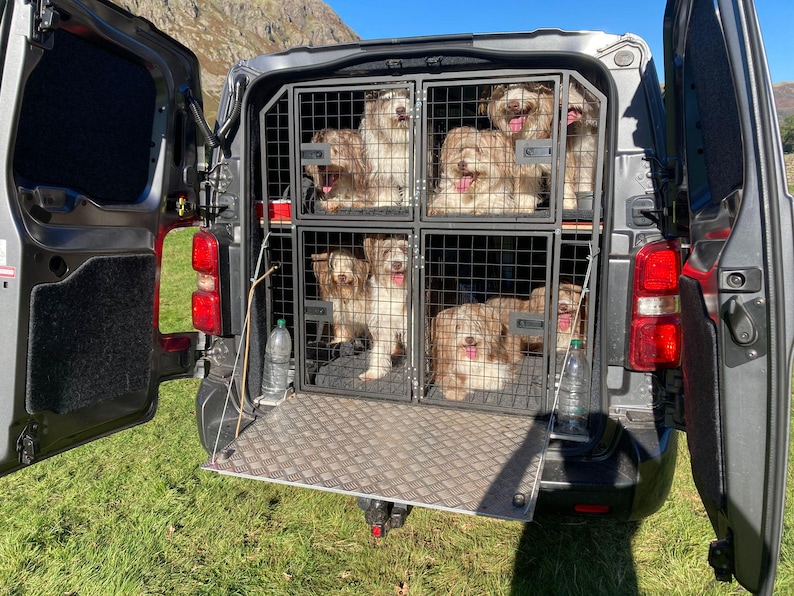 Custom Heavy Duty Dog Cages for Cars, Vans, and Campervans – Ideal for ...