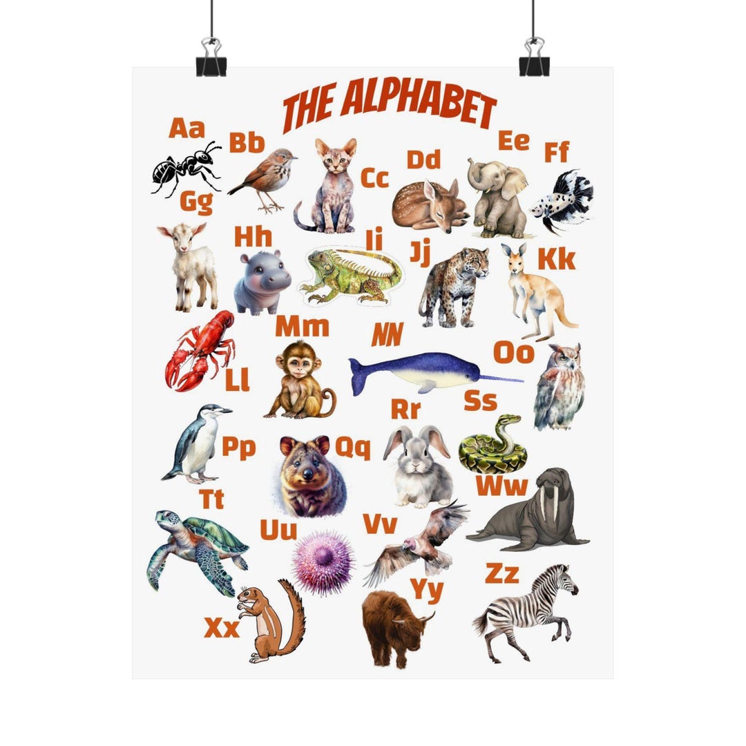 Animal Alphabet Poster, Each Animal's Name Begins With a Letter of the ...