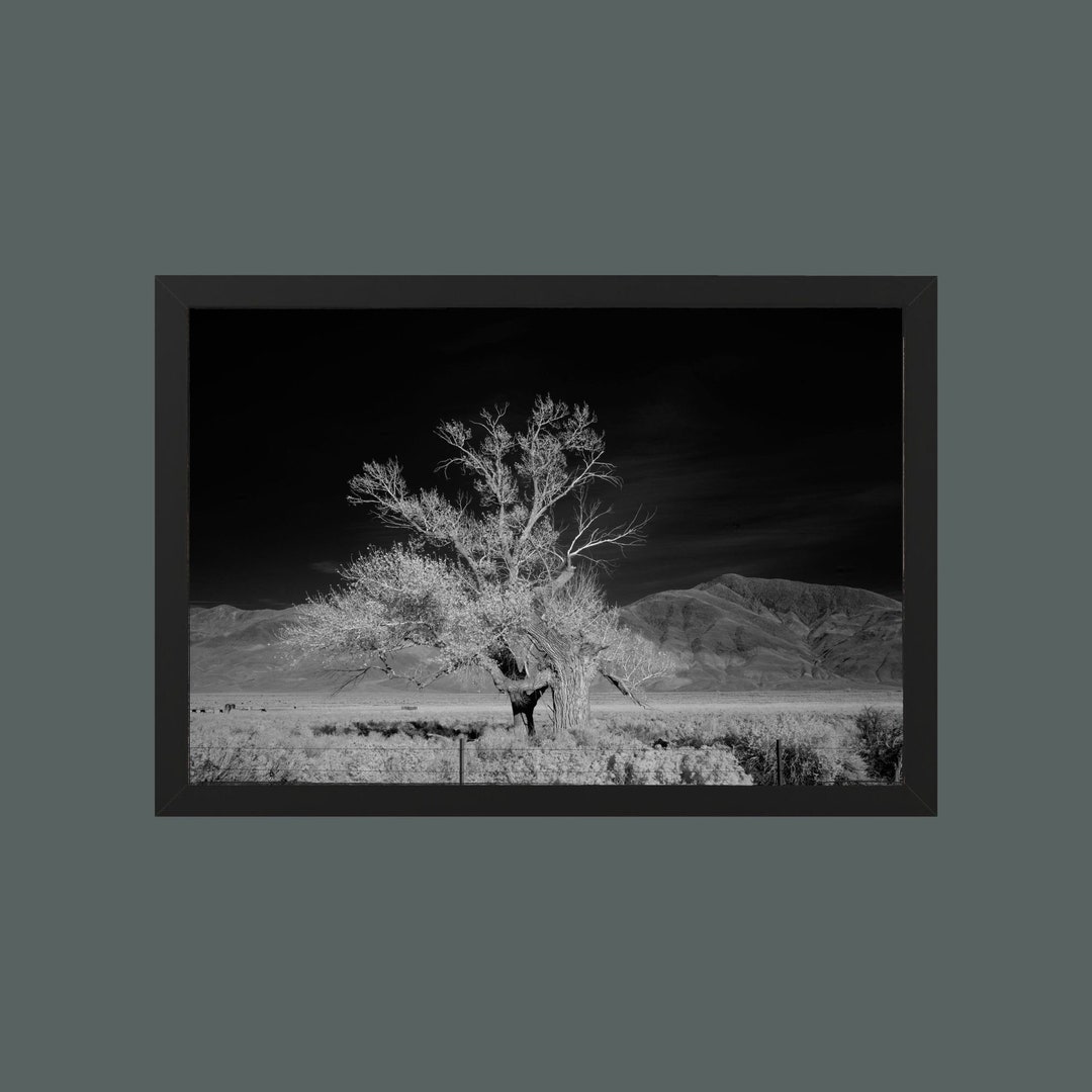Infrared Images, Infrared Photographs, Infrared Desert Views ...