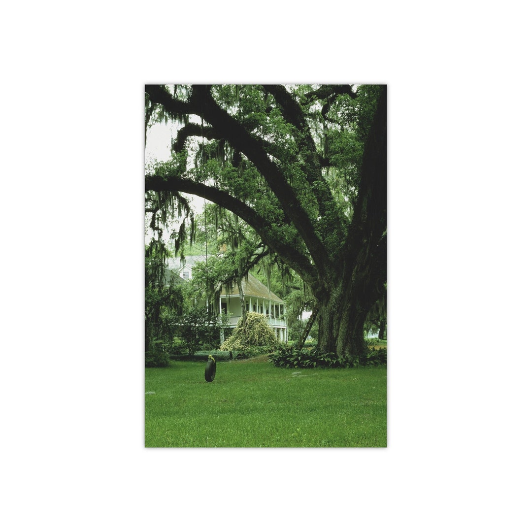 Parlange Plantation Photography Print Southern Charm Decor and ...