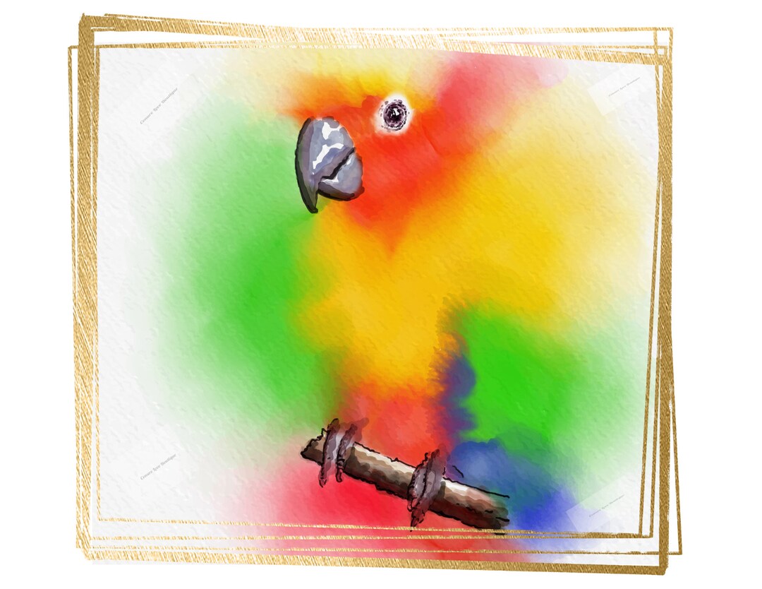 Sun Conure Png Sublimation Design Download - Etsy