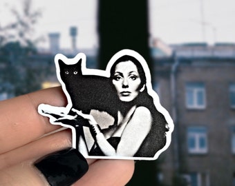 CHER Sticker Cher Sticker - Etsy