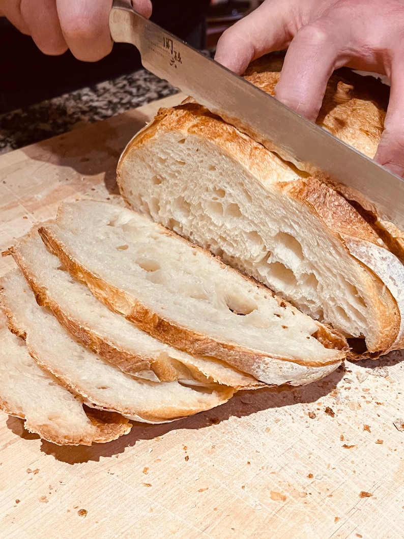 HOT SUMMER Discount!!!: Digital Sourdough Starter Recipe and 1 FREE ...