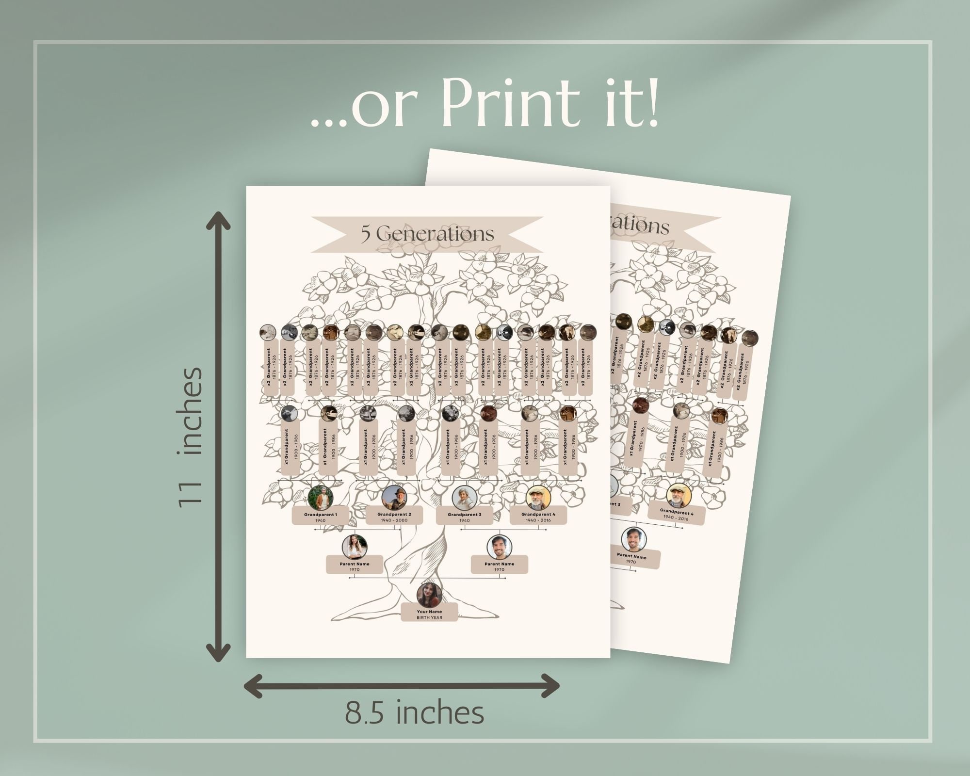 Family Tree Pedigree Page Template | 5 Generation Ancestry Chart ...