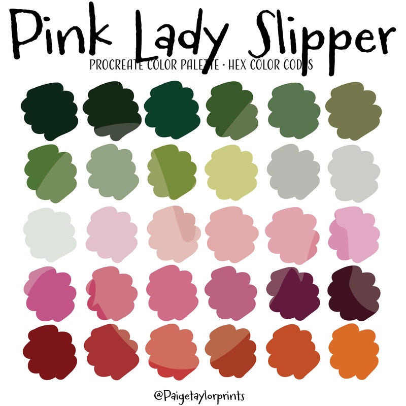 Pink Lady's Slipper - Etsy