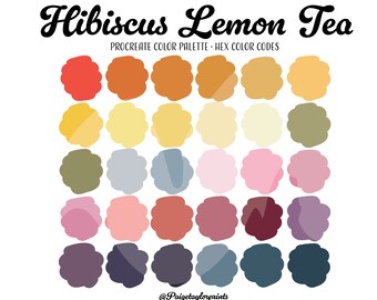 Mantego Bay Procreate Color Palette, Colorful Palette, Color Palette ...