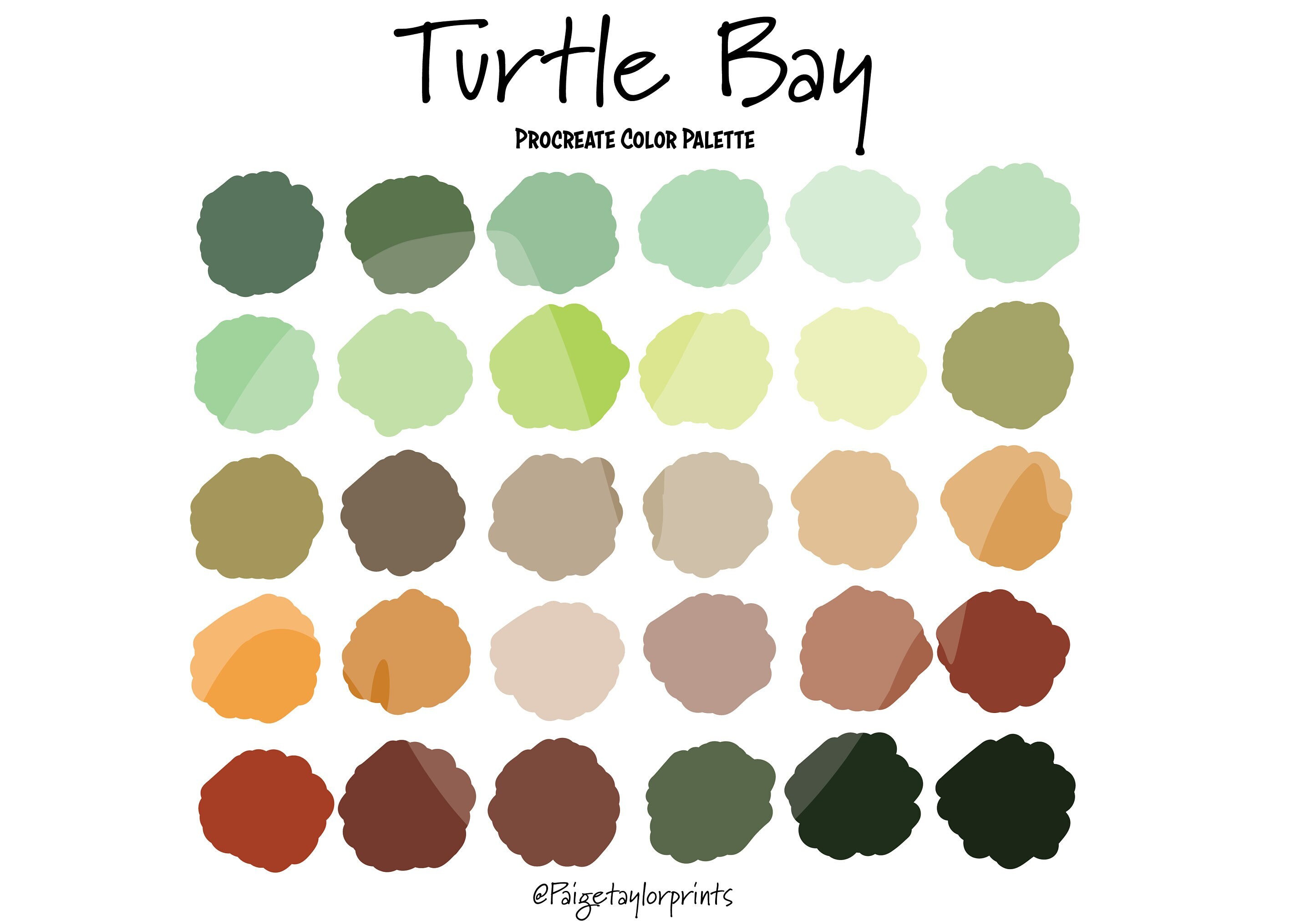 Turtle Bay Procreate Color Palette, Colorful Palette, Color Palette ...