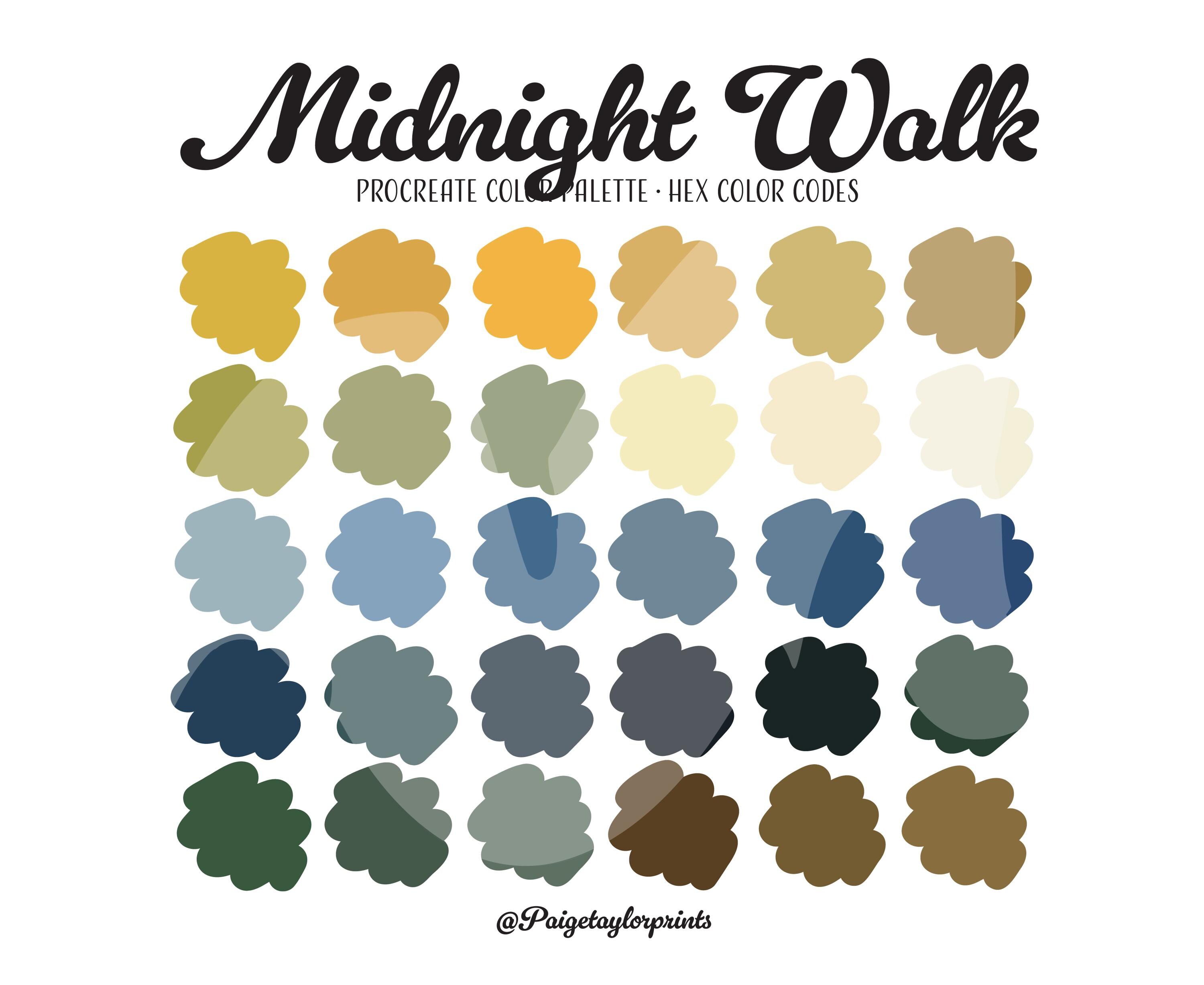 Midnight Walk Procreate Color Palette, Colorful Palette, Color Palette, iPad Pro, Procreate, Hex ...