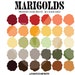 Marigolds Procreate Color Palette, Colorful Palette, Color Palette ...