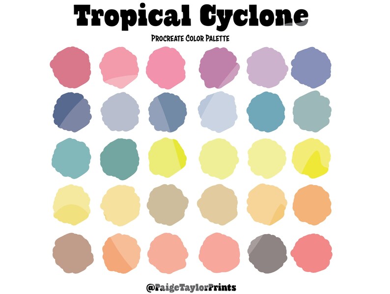 Tropical Cyclone Procreate Color Palette, Colorful Palette, Color ...