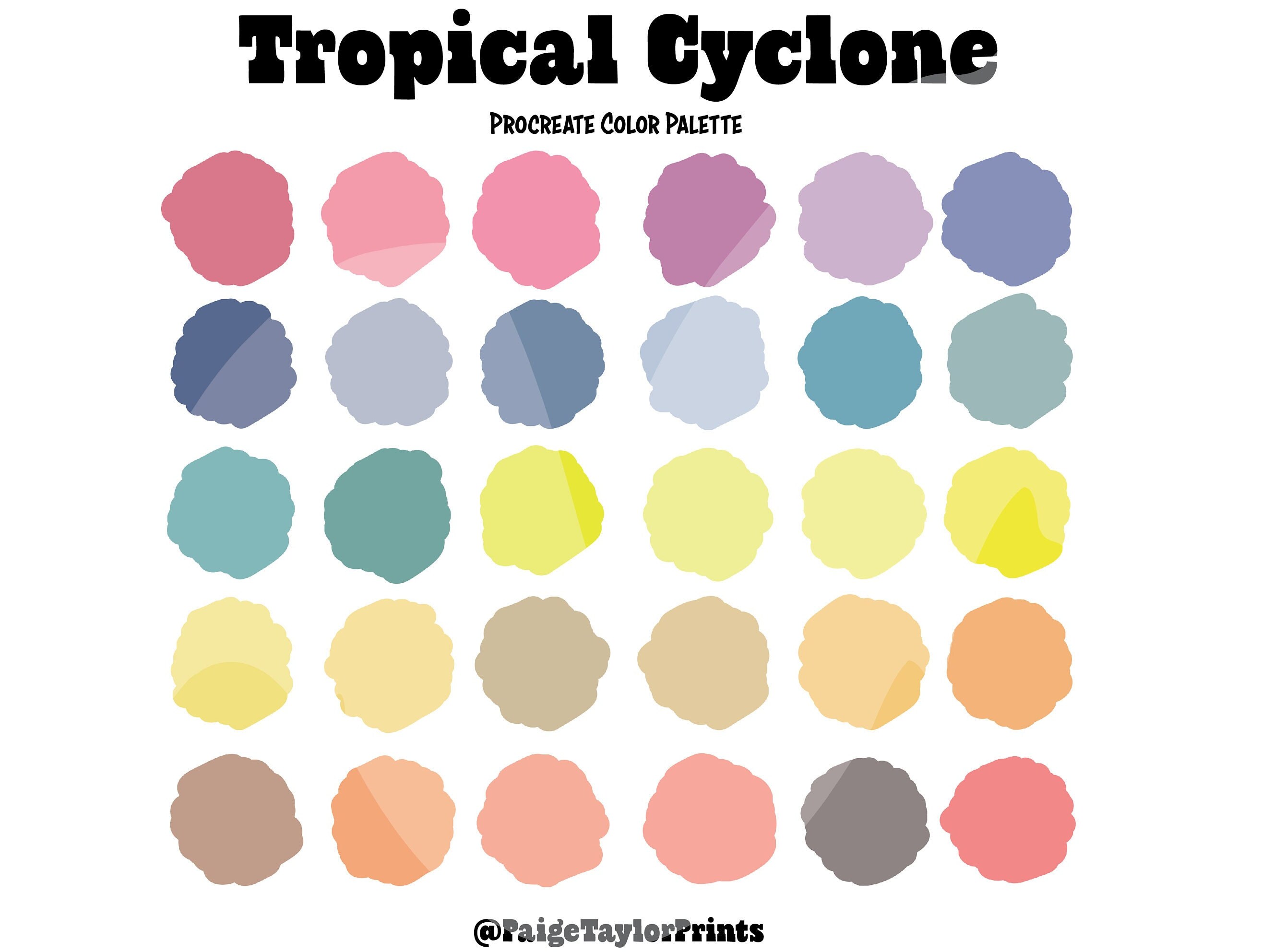 Tropical Cyclone Procreate Color Palette, Colorful Palette, Color ...