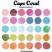 Cape Coral Procreate Color Palette, Colorful Palette, Color Palette ...