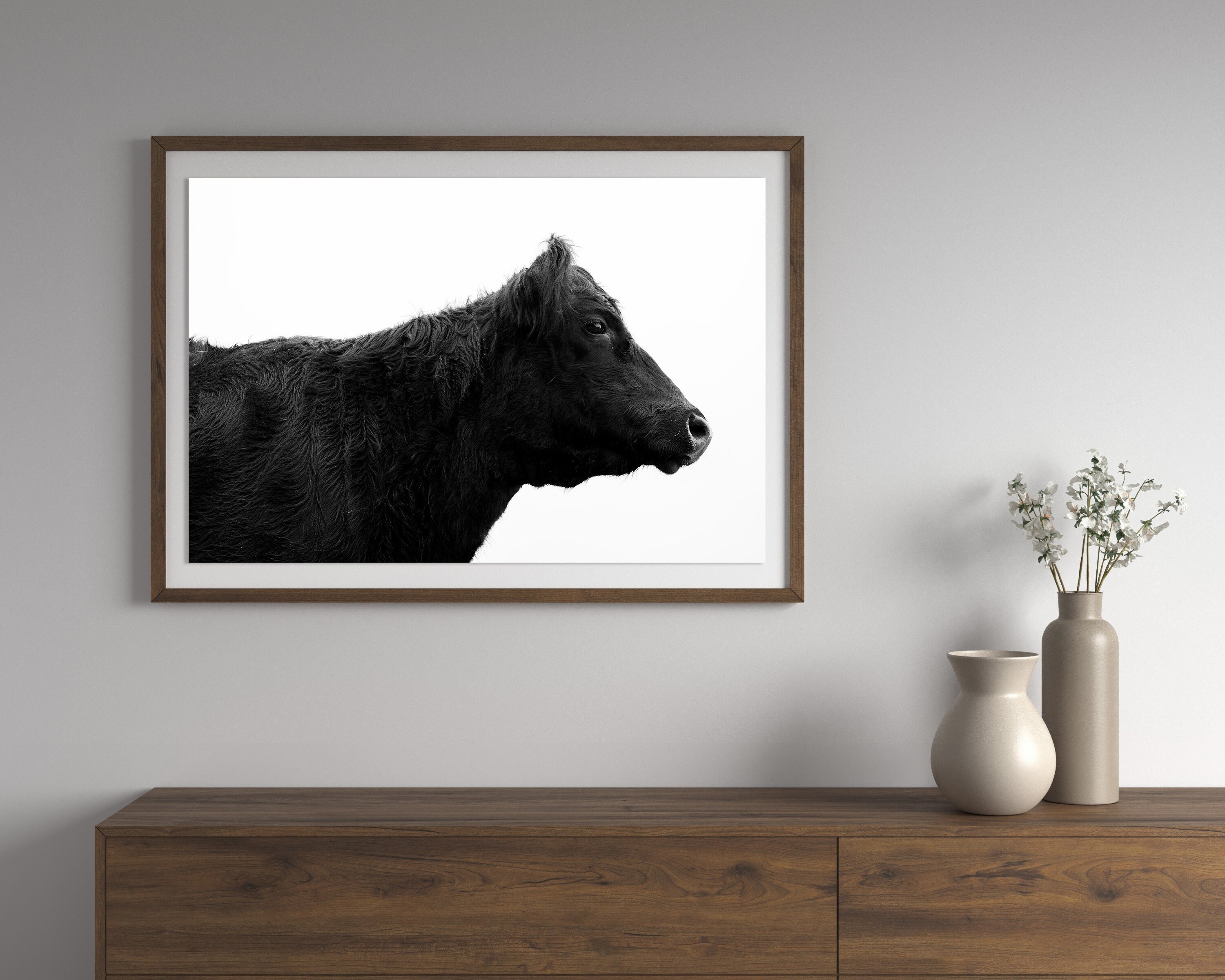 Angus Cow Photography, Angus Cow Print,bedroom Prints,farm Print, Wall ...