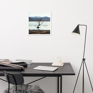 New Zealand Wanaka Tree Photography | Digital Download | New Zealand ...