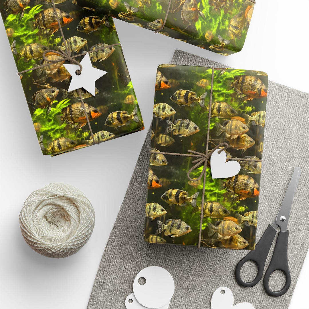 Piranha Tank Wrapping Paper, Quirky Fish Design - Etsy
