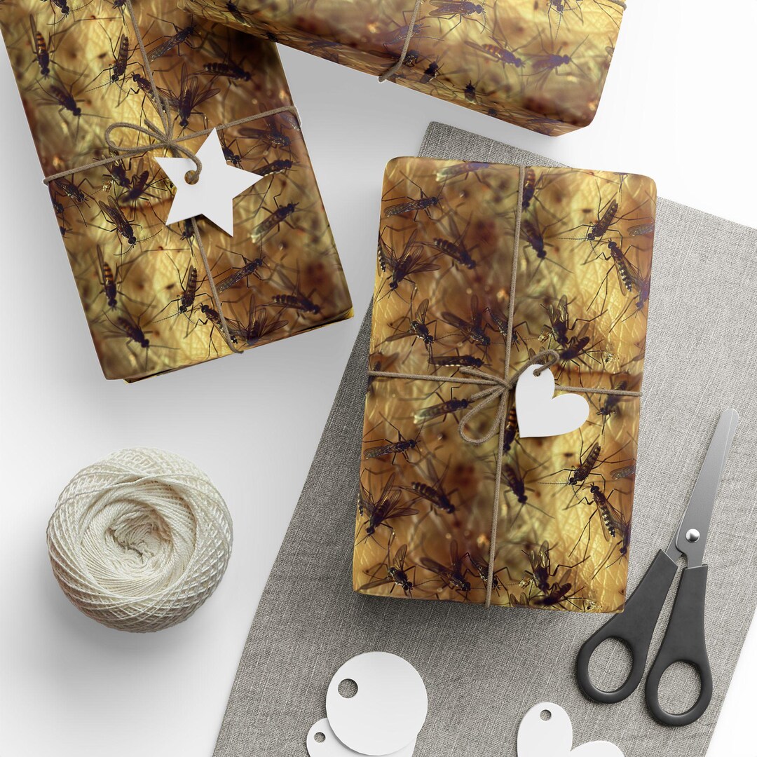 Insect Wrapping Papers, Gift Wrap, Bug Pattern, Paper for Presents ...