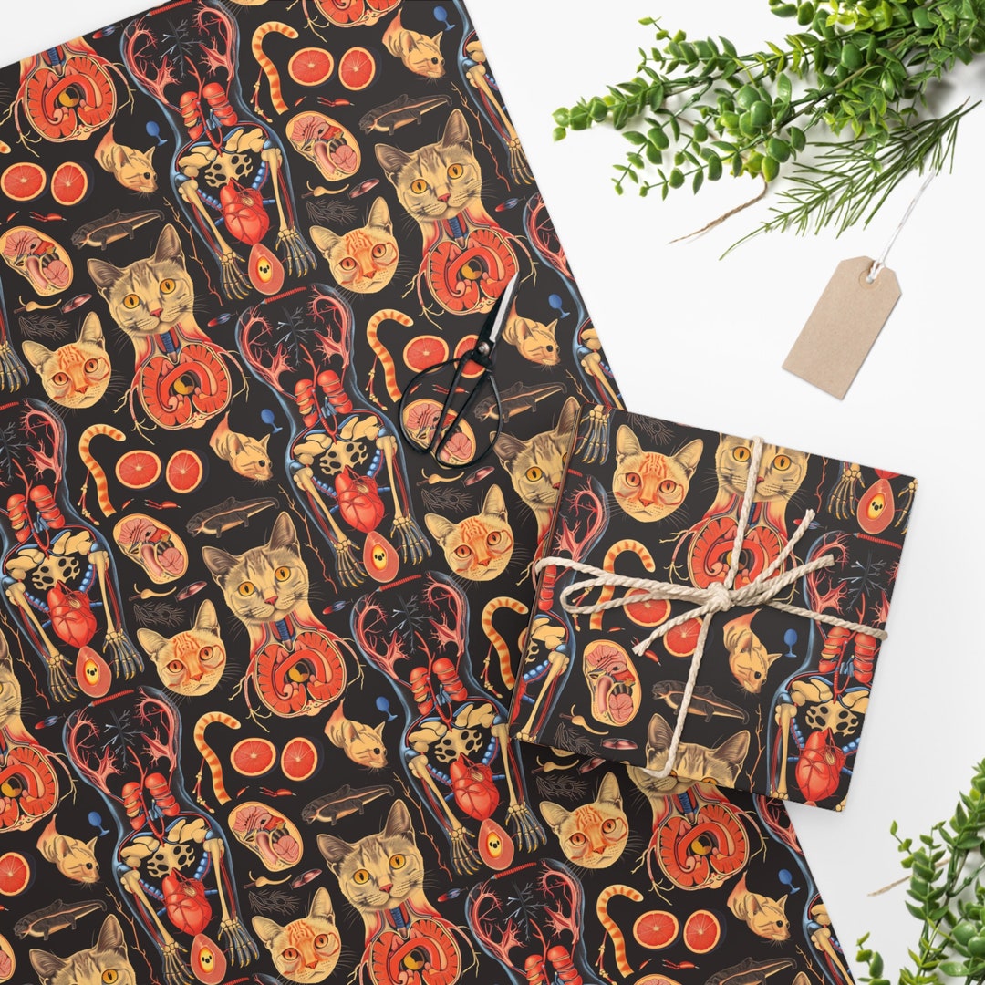 Anatomical Cat Cross Section 3 Wrapping Paper - Etsy