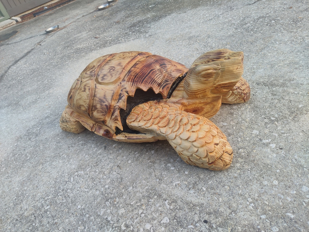 1st Smash Turtle - Etsy