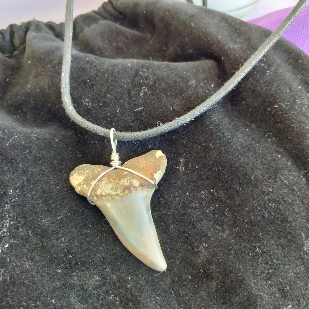 BULL SHARK TOOTH Necklace - Etsy