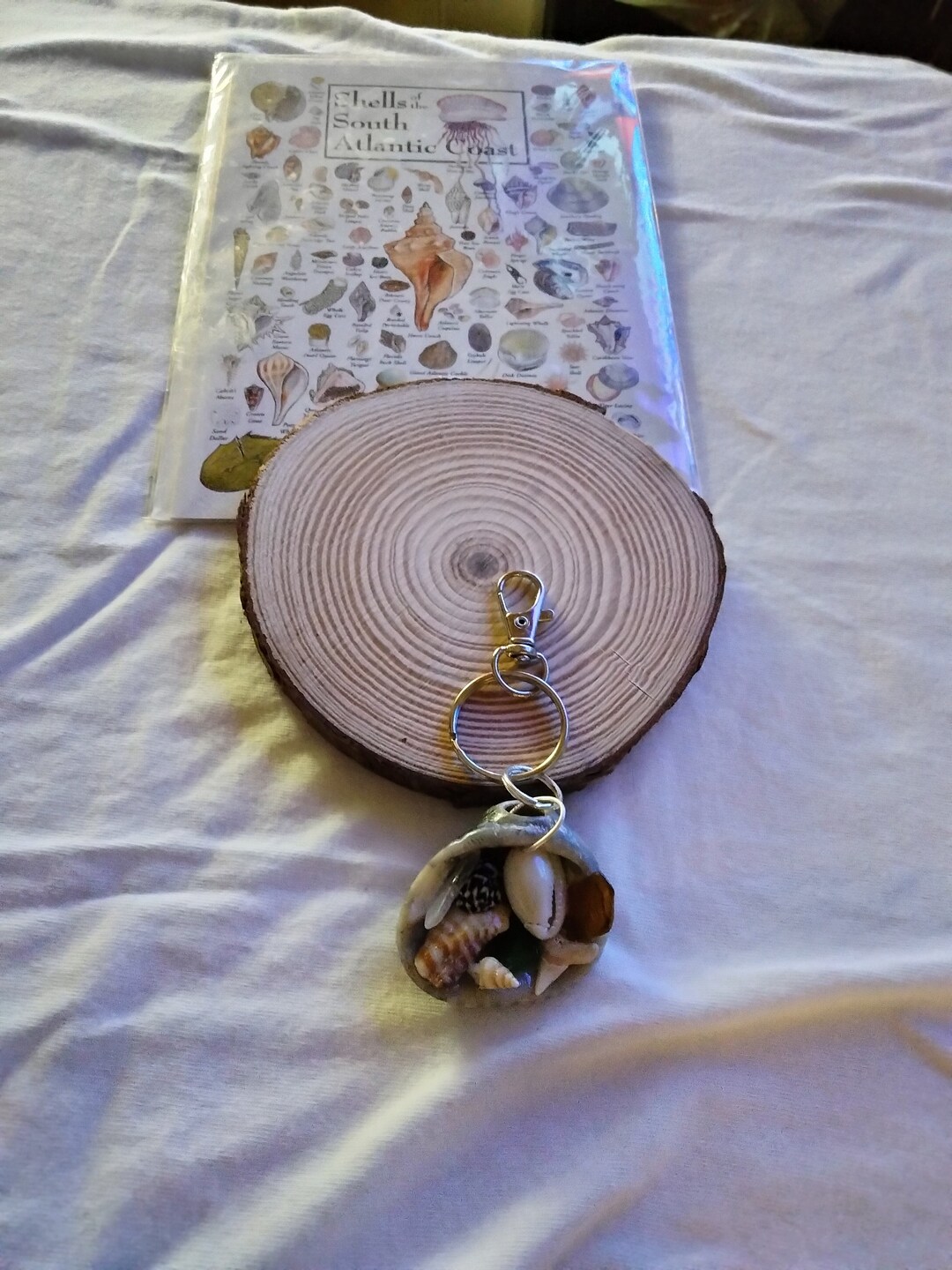 Sea Shell Keychain With Sea Glass /shark's Tooth - Etsy