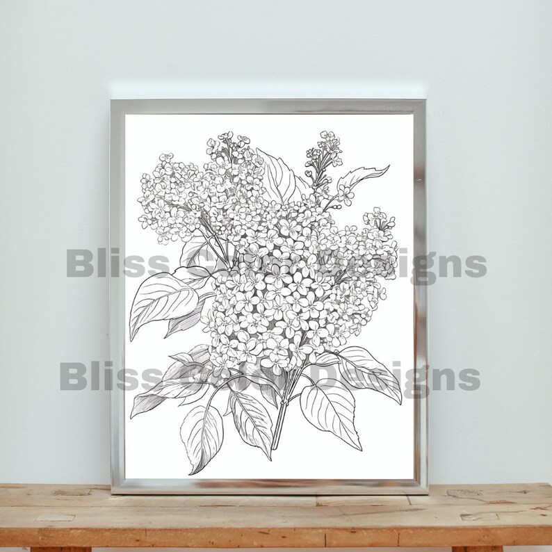 20 Simple Realistic Lilacs Coloring Pages Digital PDF/PNG - Etsy Australia